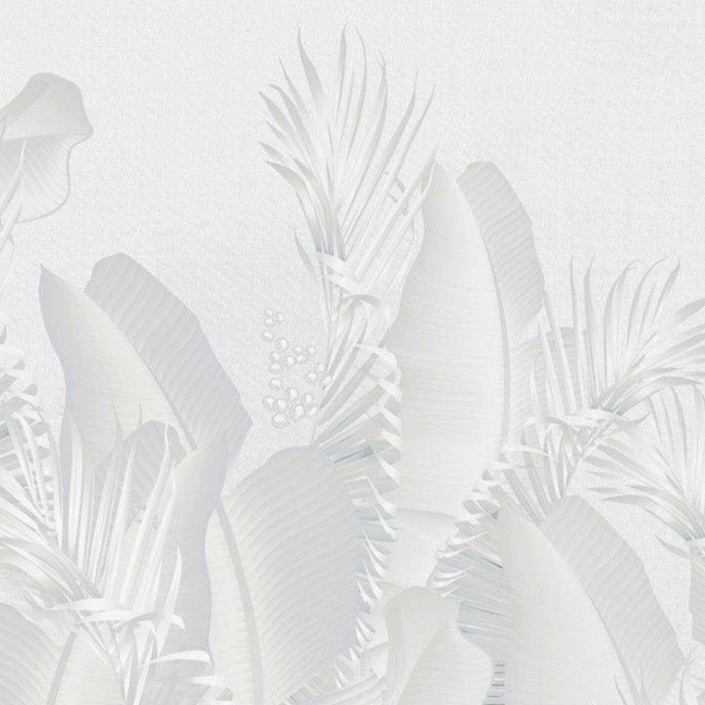White Leaves - Studijo
